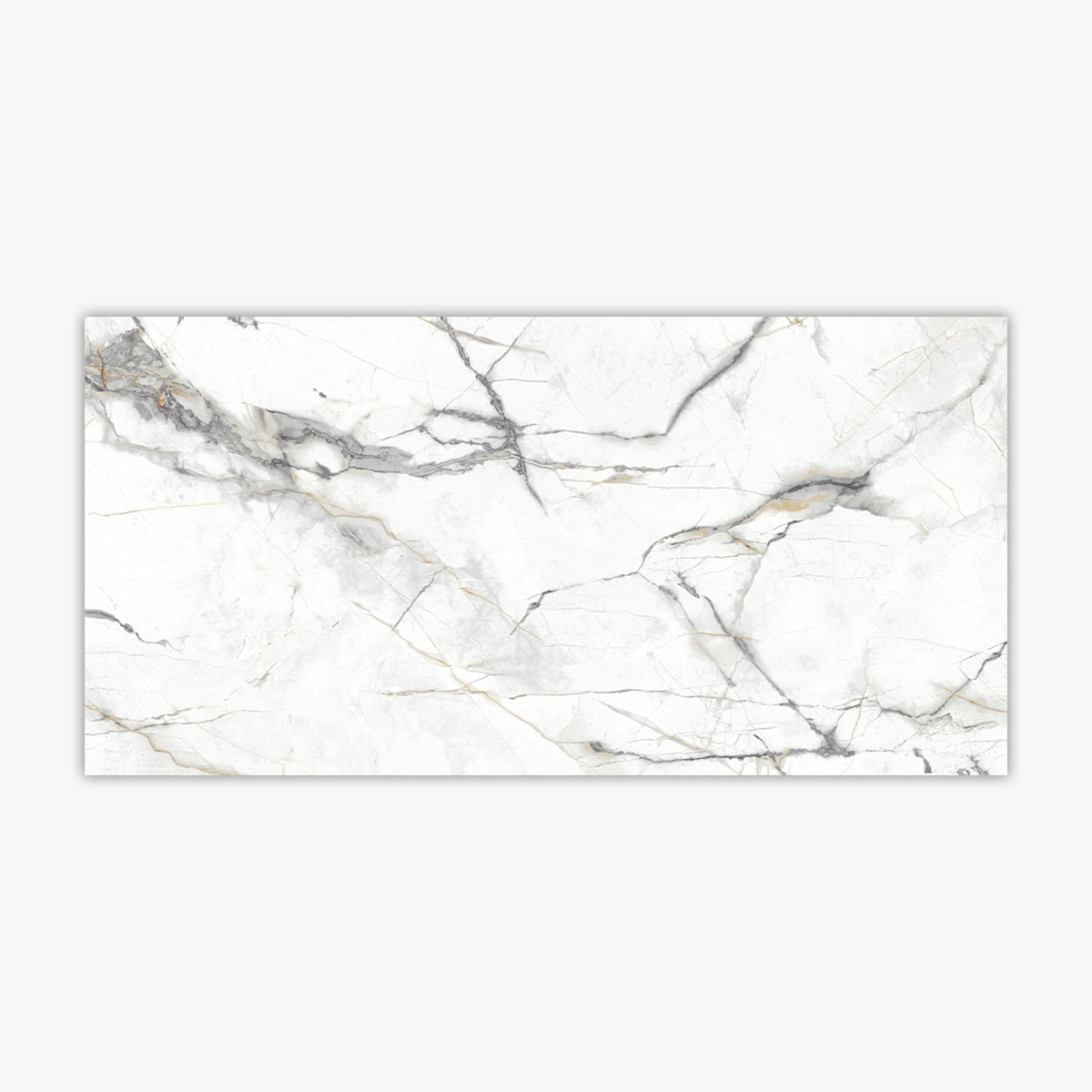 Invisible Gold Real Surface Technology Matte 24x48 Porcelain Tile ...